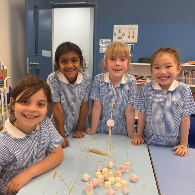 TIPS Week: Year 2 Tower Building - Francis Holland Prep School